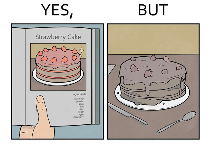 OLLI@UConn Weekly "What's Happening?"