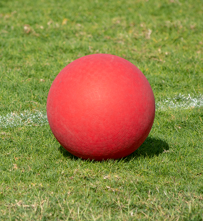 St. John's Connections Newsletter