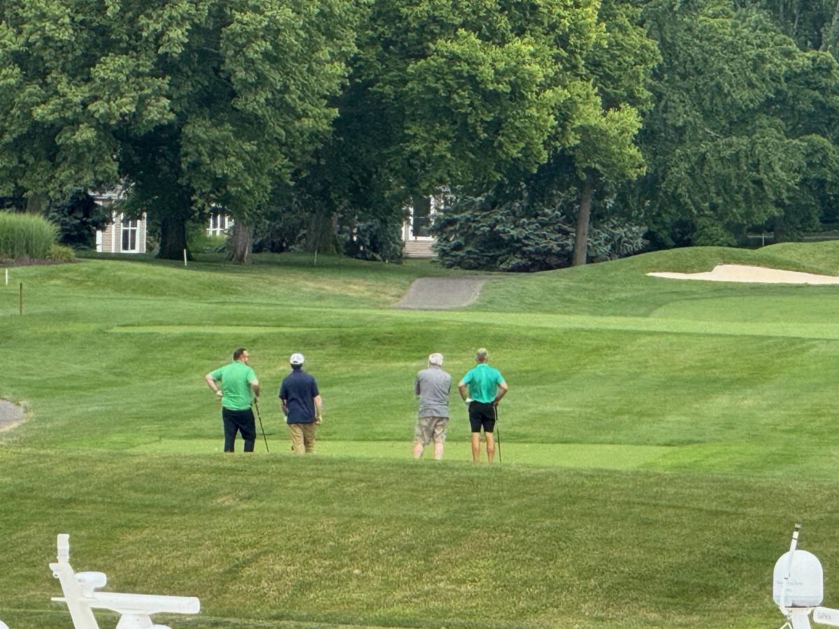 News from Mansour Gavin