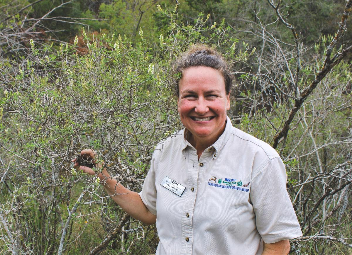 Academy Traditions Newsletter #2