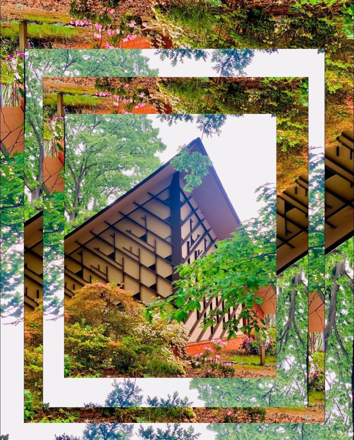 Sunday, November 16, 2025 - Parkway UCC Worship Service Bulletin