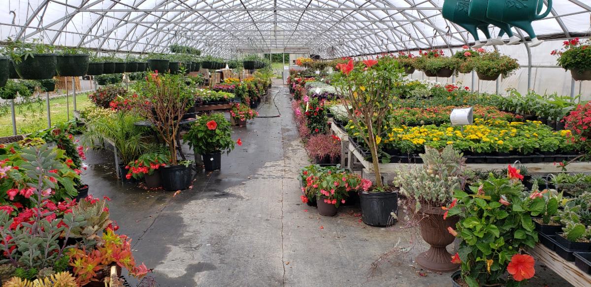 Priapi Gardens News, Week 22