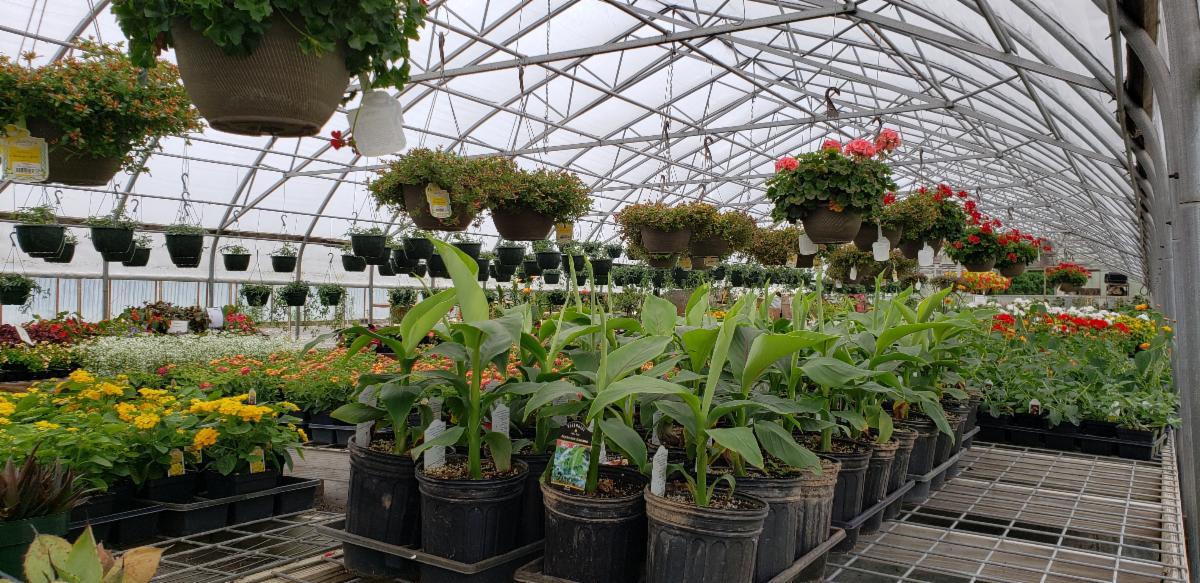 Priapi Gardens News, Week 22