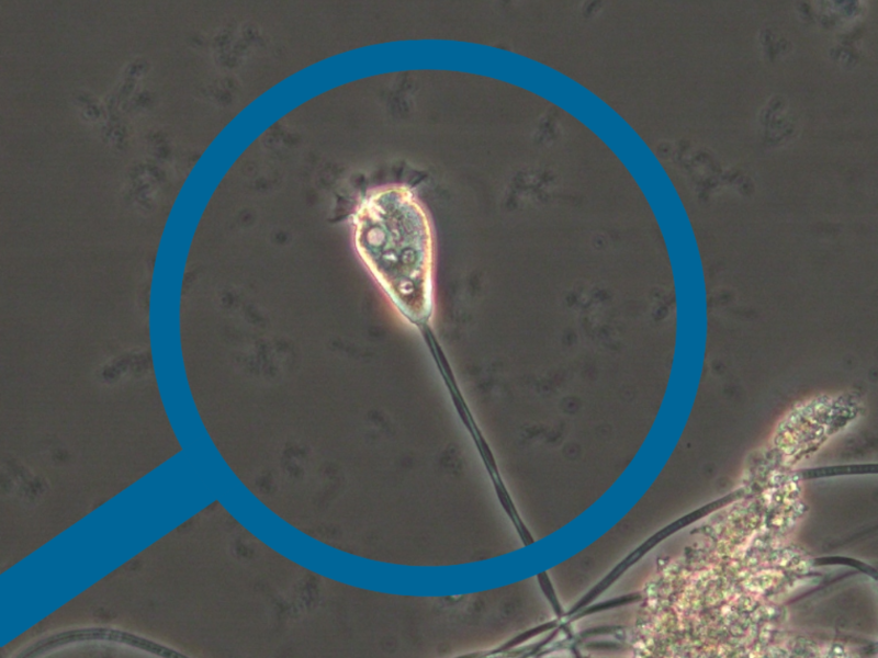 Reminder: This Week's City News in Brief