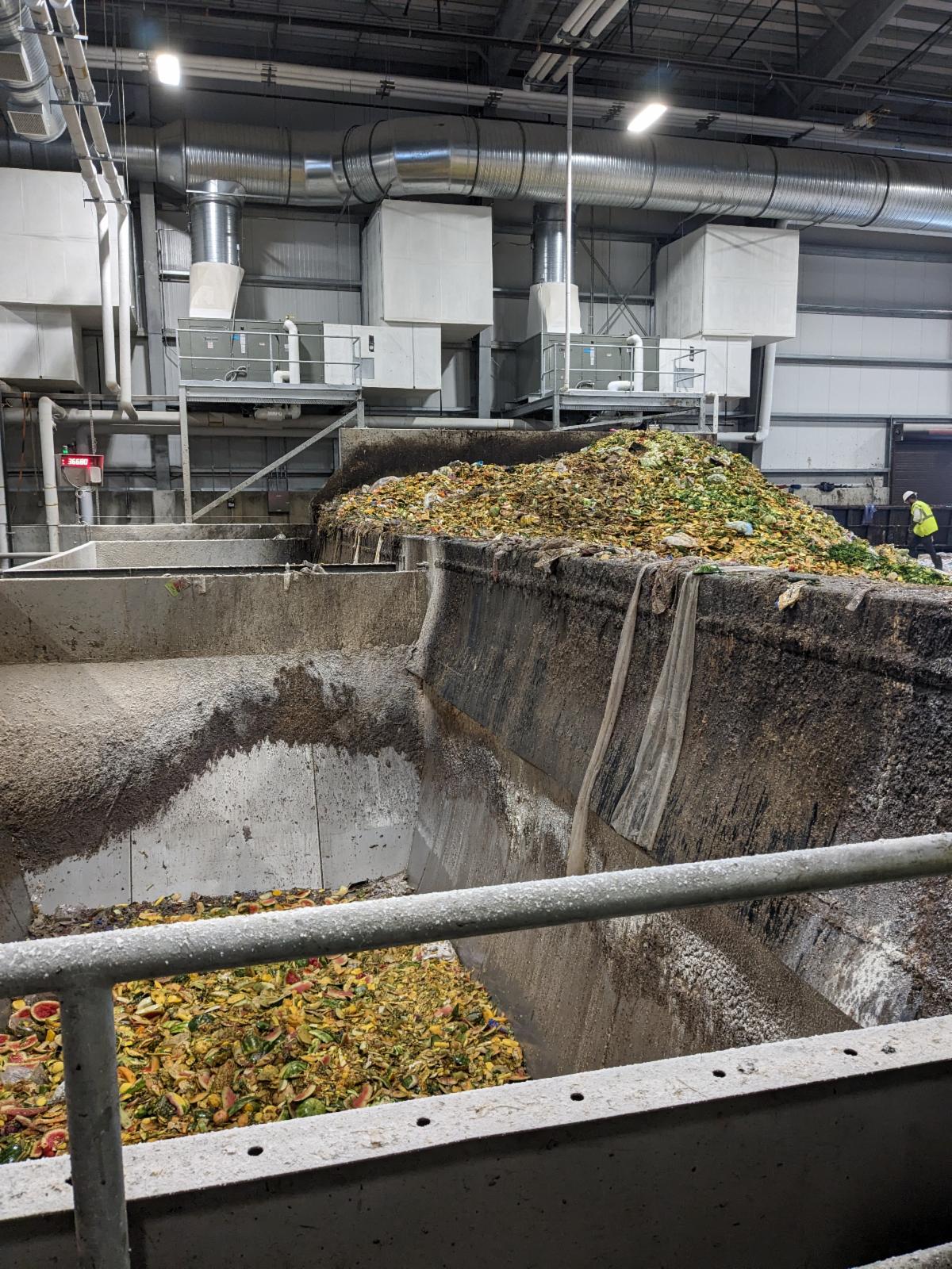 MDSPE Newsletter - Summer 2023