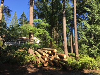 BTCC: 6:30 City Hall or Online: Are you concerned about how the City ...