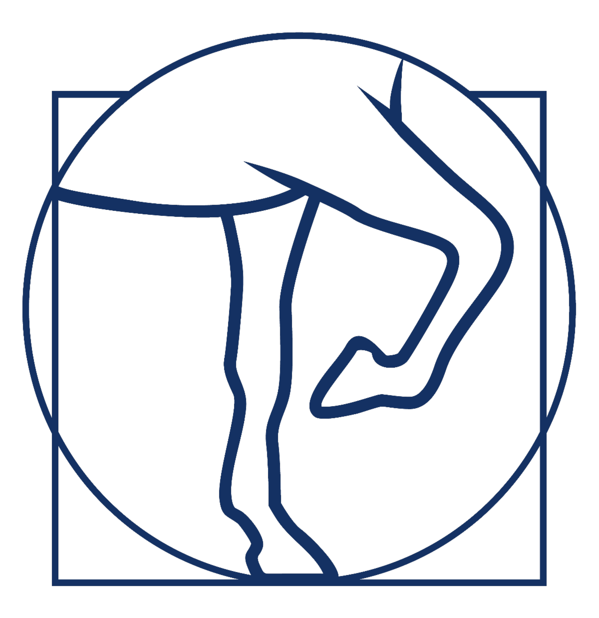 SoundHorse Foal Heel Extensions