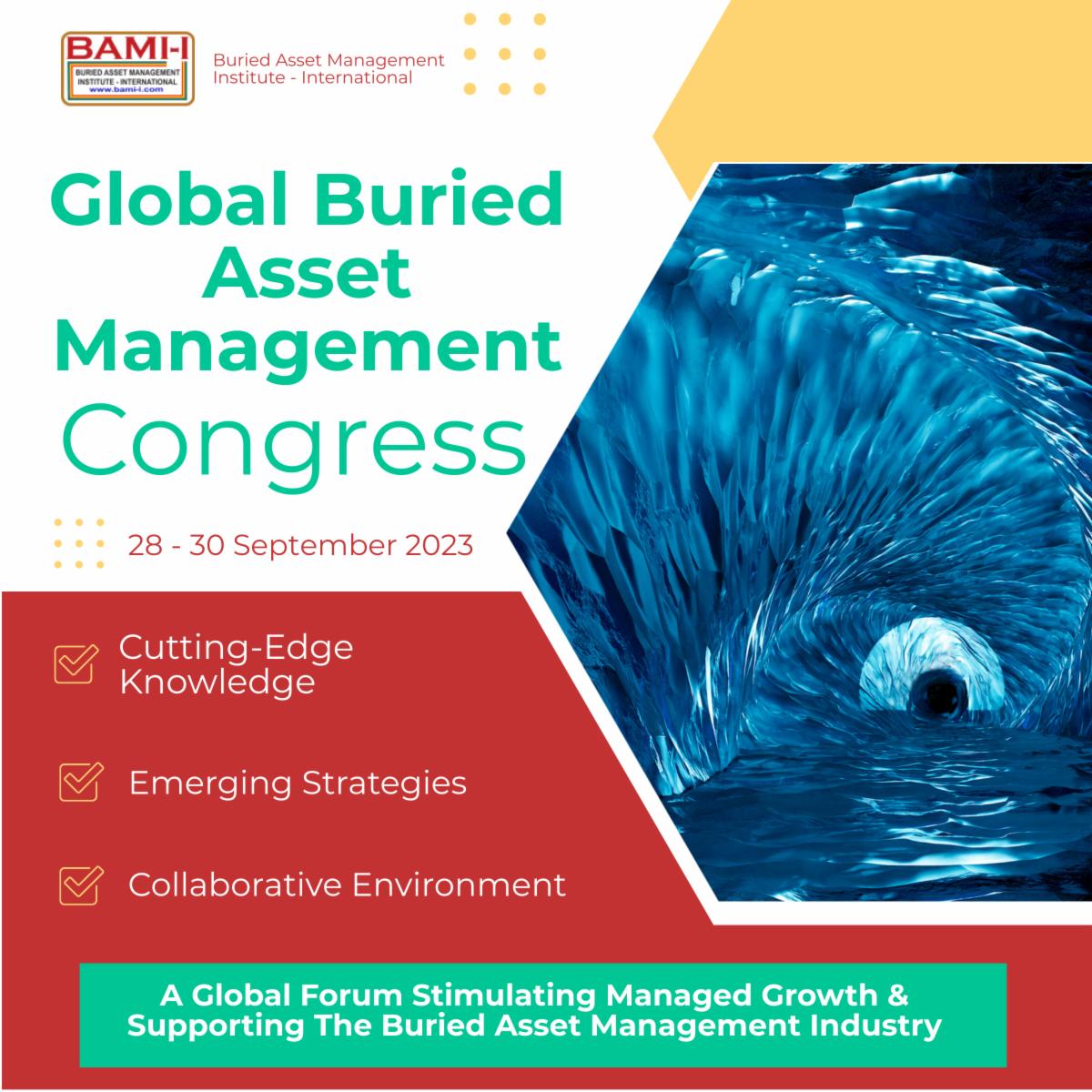 Free Webinar- Empowering Asset Management Practices: Insights from Key ...