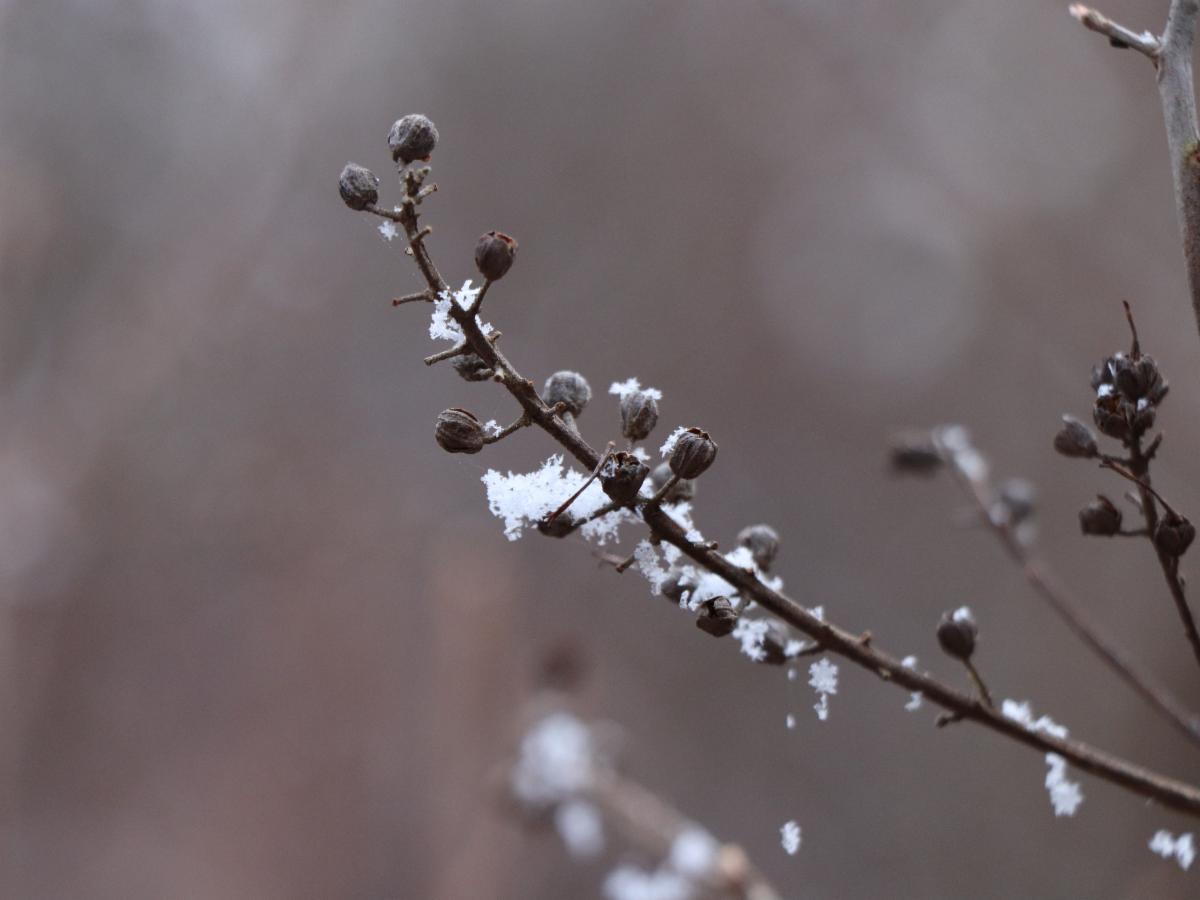 February News, Talks, Walks & More!