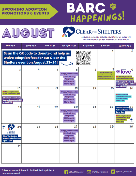 Council Member Fred Flickinger's August Newsletter