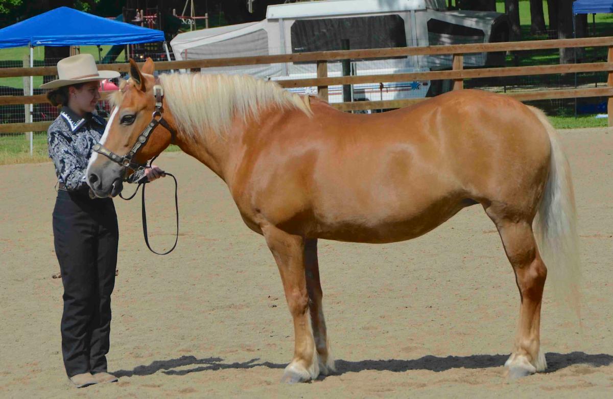 Raise the Roof: Issue 1367