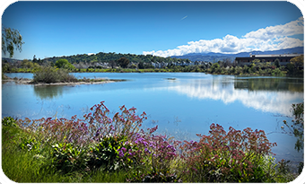 Valley Water News April 2025