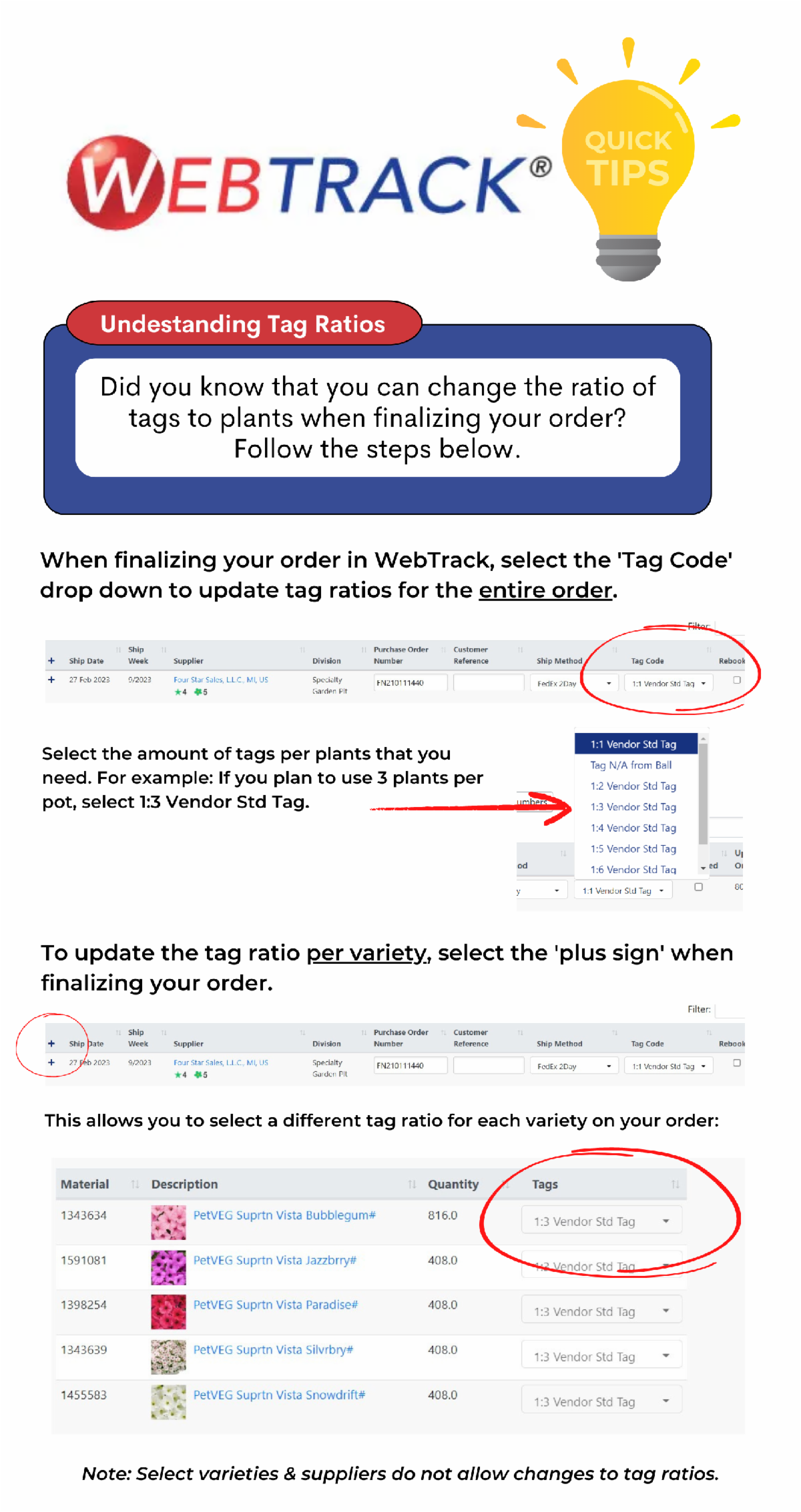 Scented Geraniums New Seed Releases WebTrack Tips