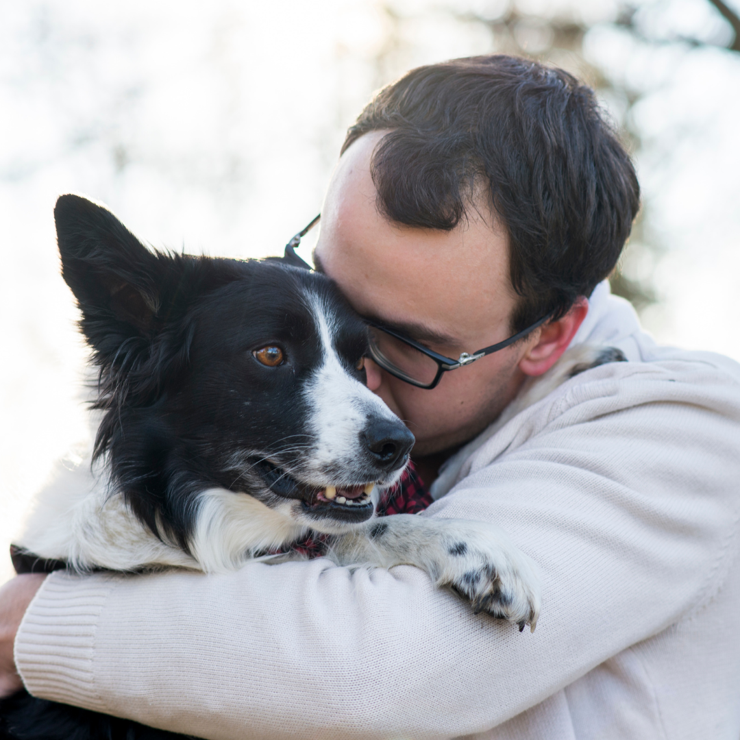 Updated Release for Website - Safety Net Fostering