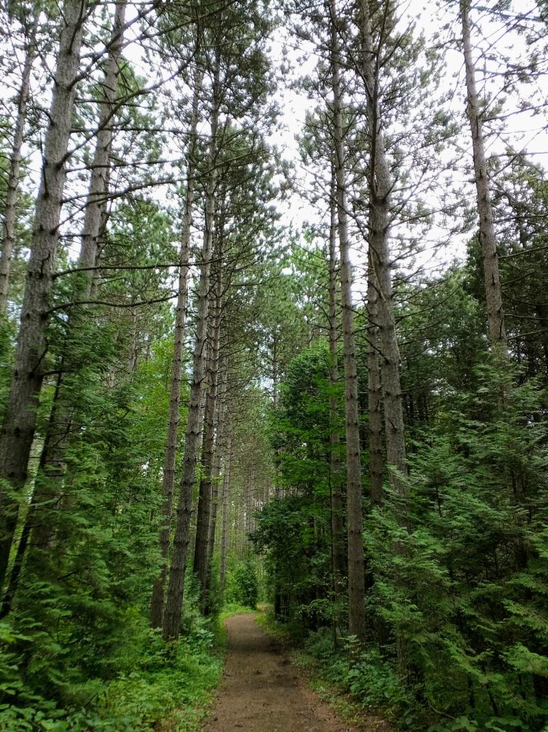 What's Happening Around the Ganaraska Watershed