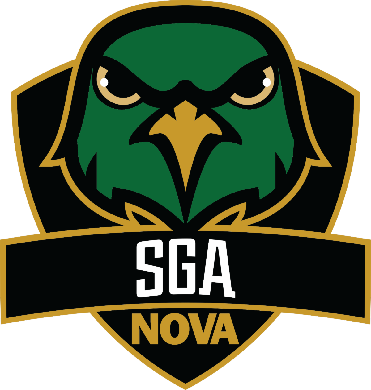 NIGHTHAWK NEWS: News, Information and Events for NOVA Students