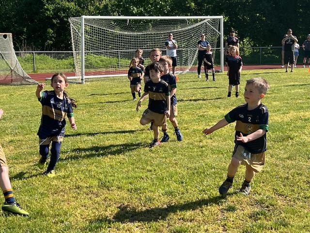 Dutchess GAA June Newsletter