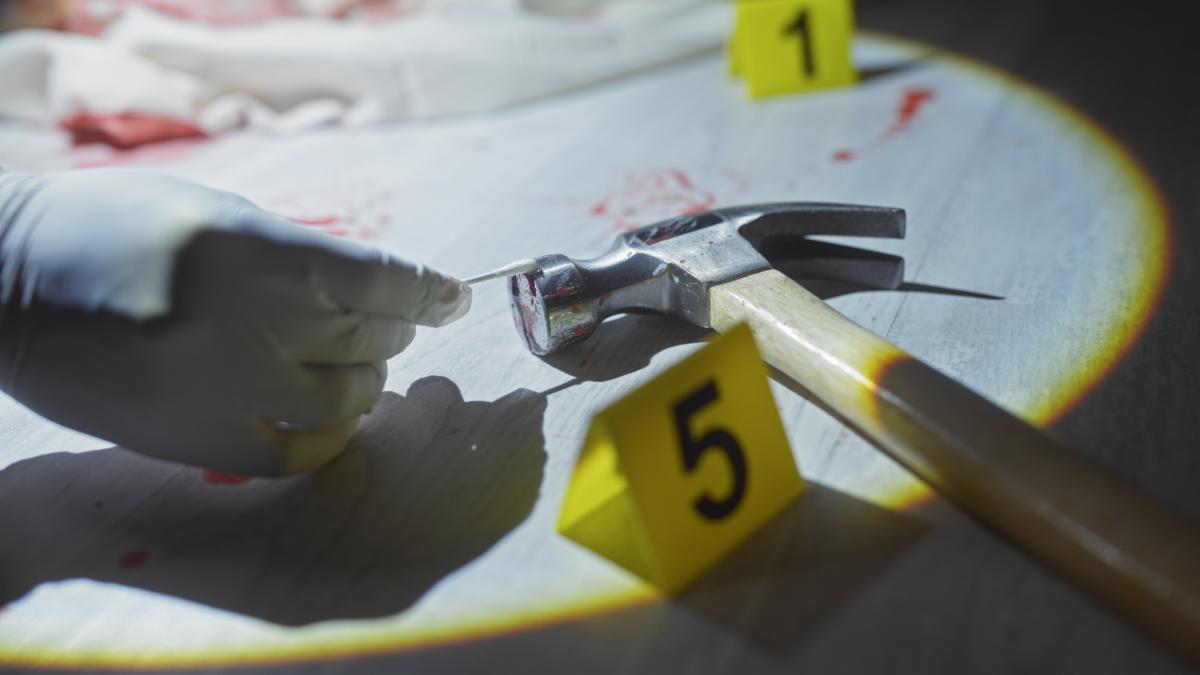 LLRMI Legal Articles -April 23, 2025 - Volume 4