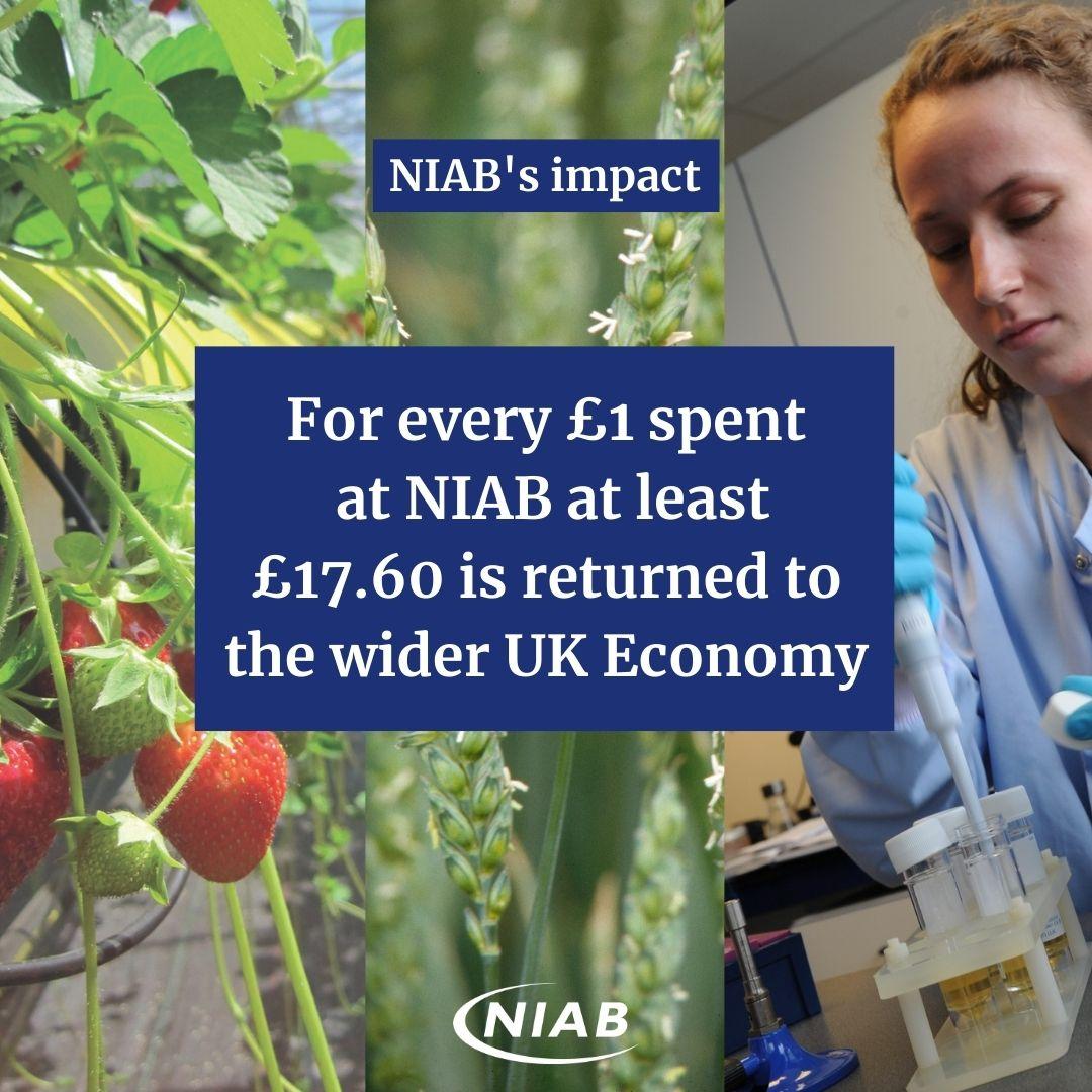 NIAB Focus - Autumn 2020 newsletter