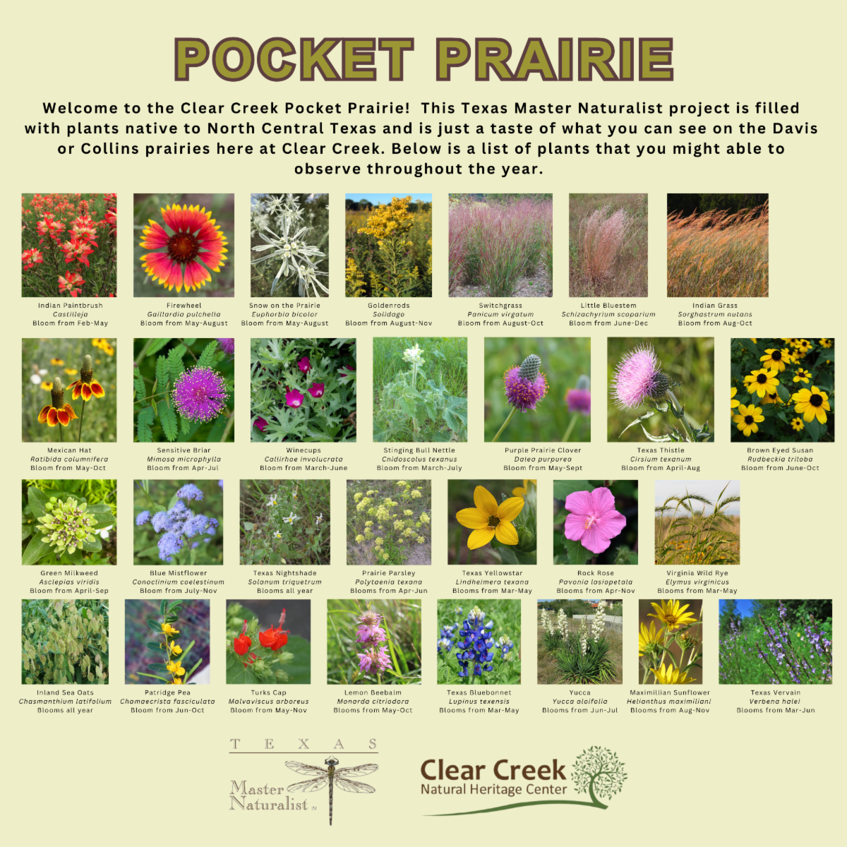 Clear Creek News & Updates Friend