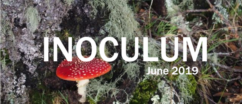 Inoculum: June 2019