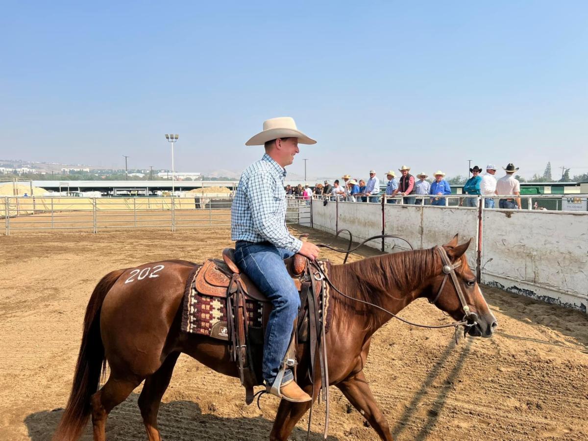Reno Snaffle Bit Futurity Horse Sale TODAY