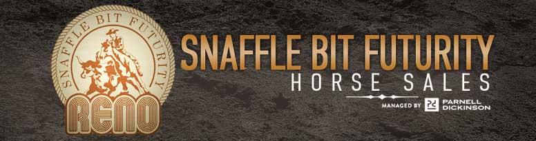 Reno Snaffle Bit Futurity Horse Sale TODAY