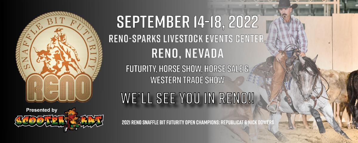 Reno Snaffle Bit Futurity Horse Sale TODAY
