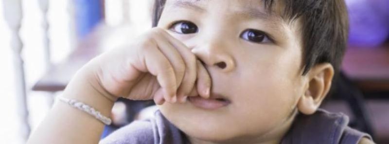 Dr. Susan Daniels Insight Resources April News