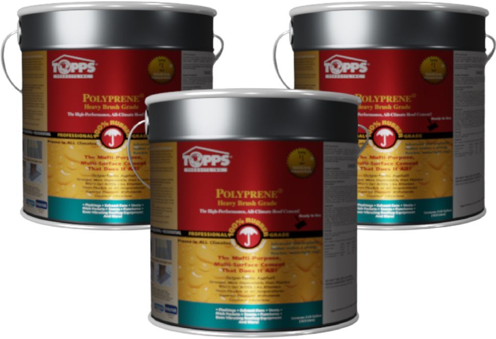 Newsletter January 2022