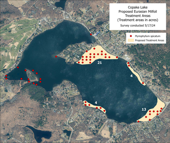 Copake Lake: Summer 2024 is Almost Here! - Copake Lake Conservation Society