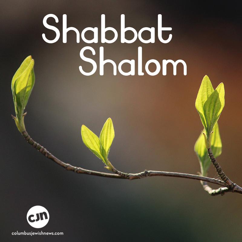Shabbat Shalom: Bringing you fun features to welcome Shabbat!