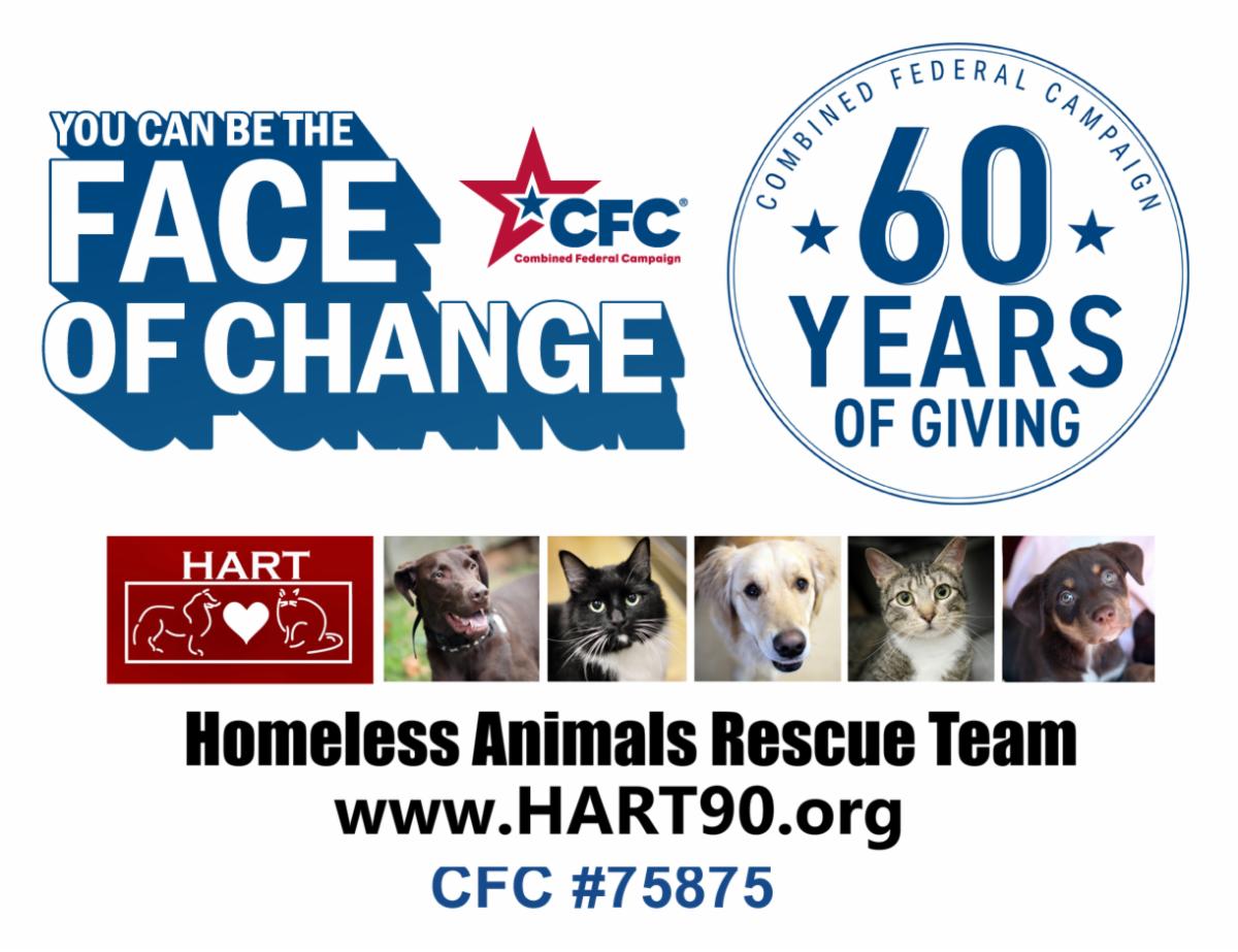 Fun Ways to Help HART!