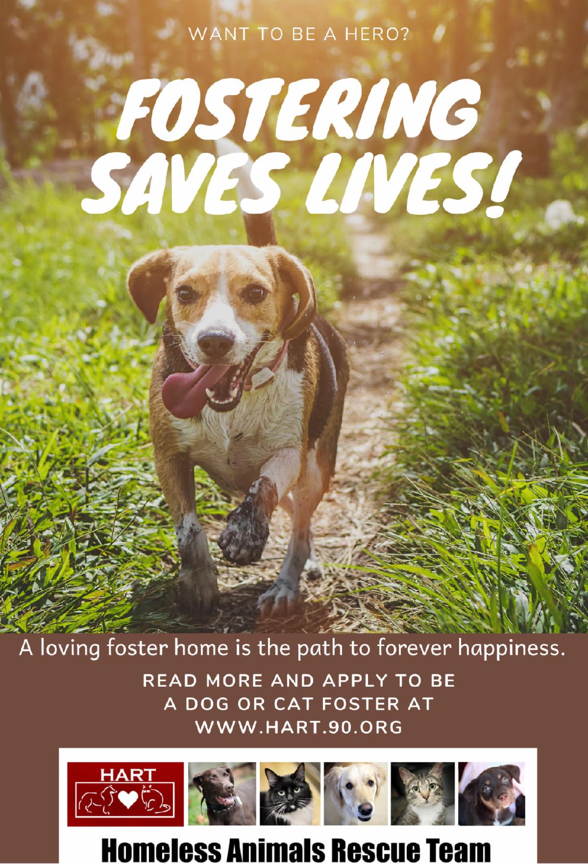 Fun Ways to Help HART!