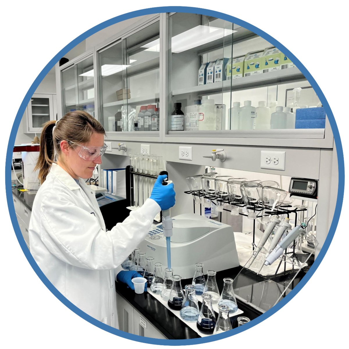 City of Santa Cruz Weekly Update