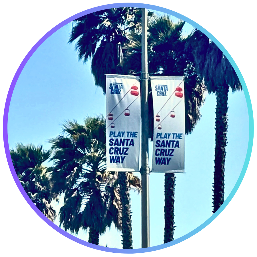 City of Santa Cruz Weekly Update