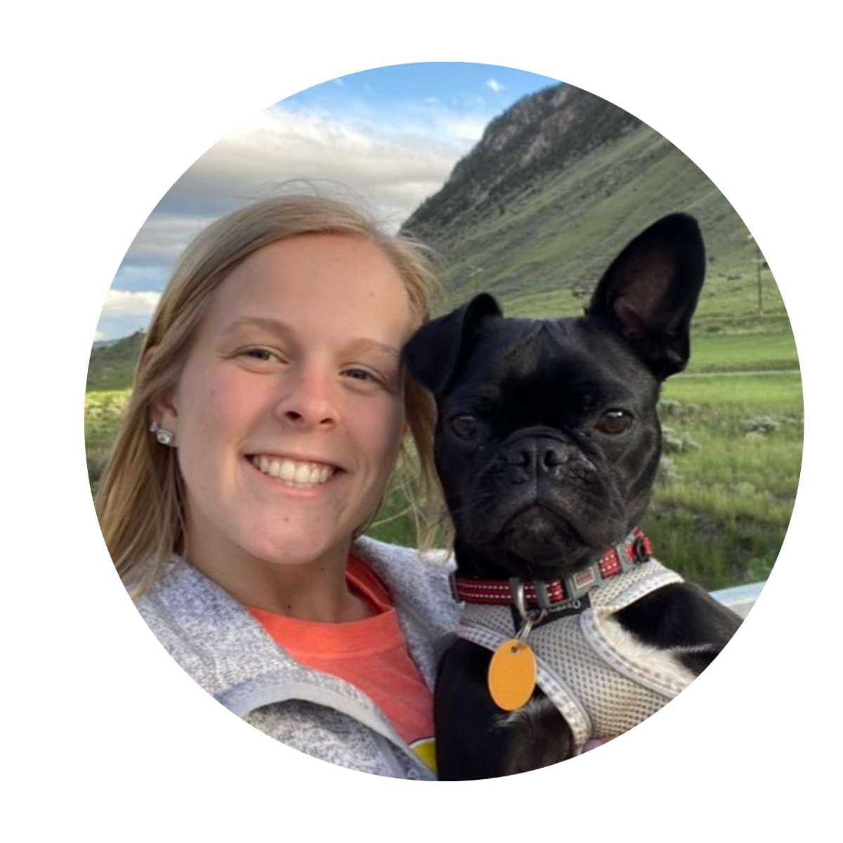 FH Eagle Zone Updates