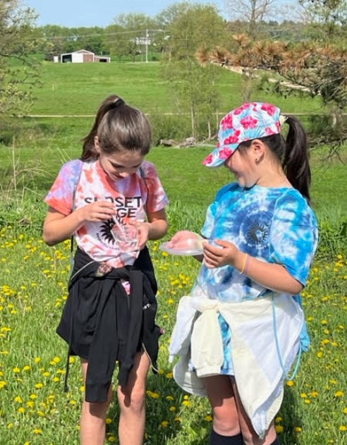 Sunset Ridge Elementary Newsletter