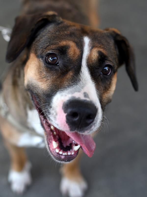 Getting to Know BOCO!