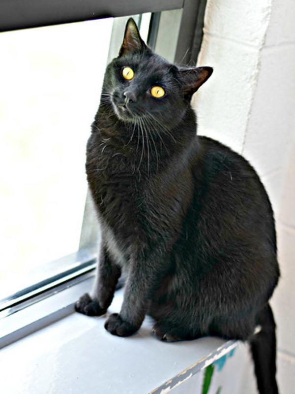 Getting to Know BOCO!