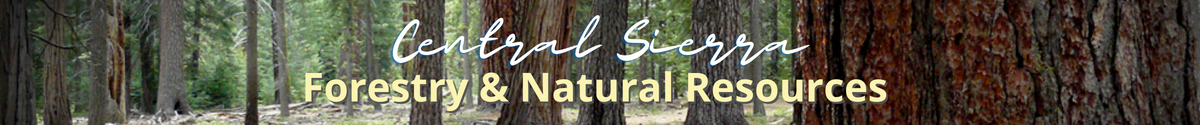 UCCE Central Sierra eNews: Forestry & Natural Resources