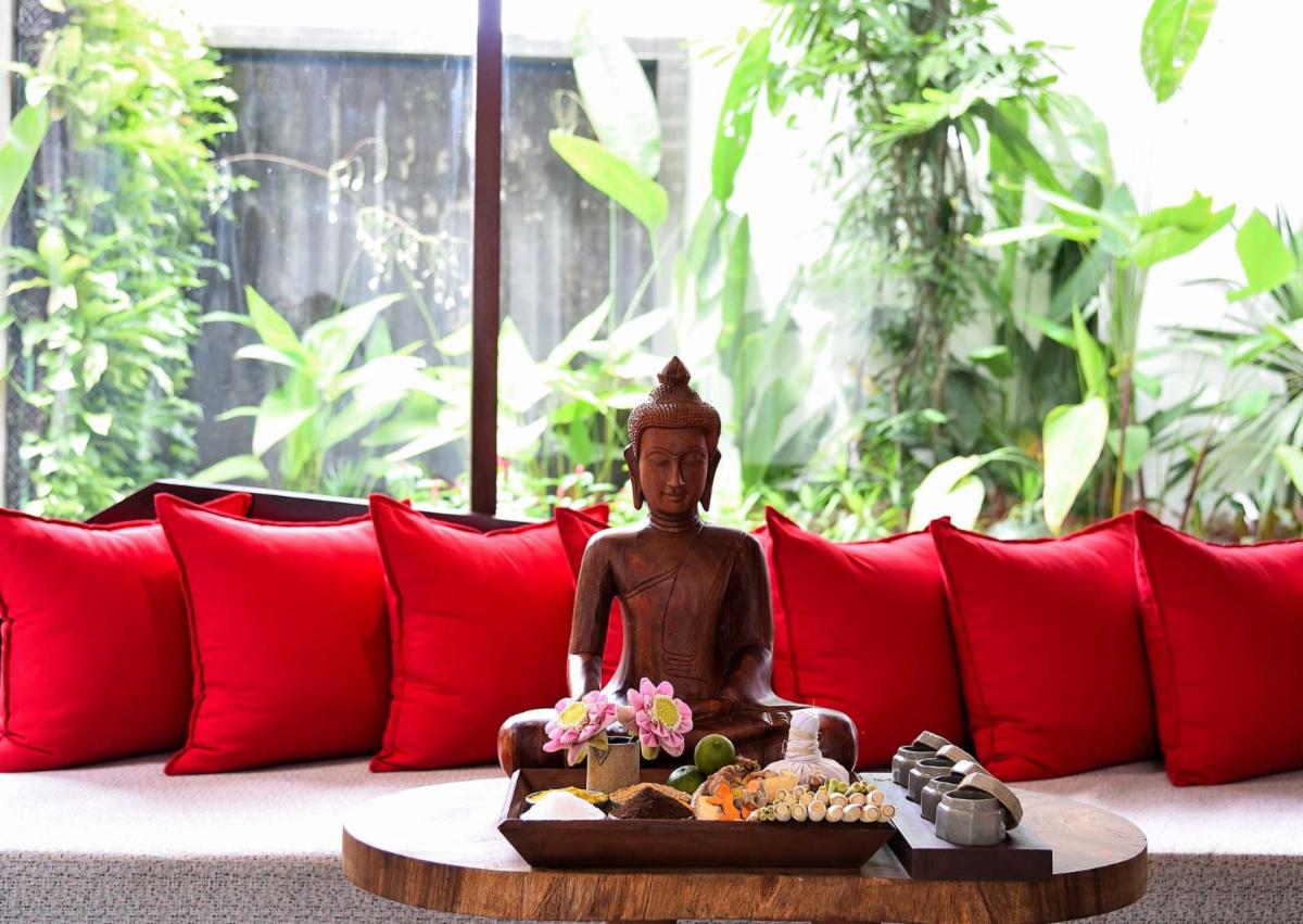 Jaya Organics Brings the Power of Cambodia’s Native Plants to a Global ...
