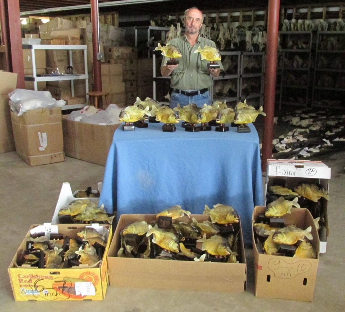 Beach Supplies Taxidermy