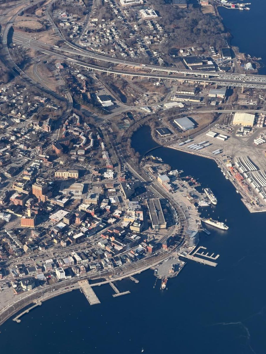 What's Up? Seals and Society Opens Saturday. Last Chance to see ...