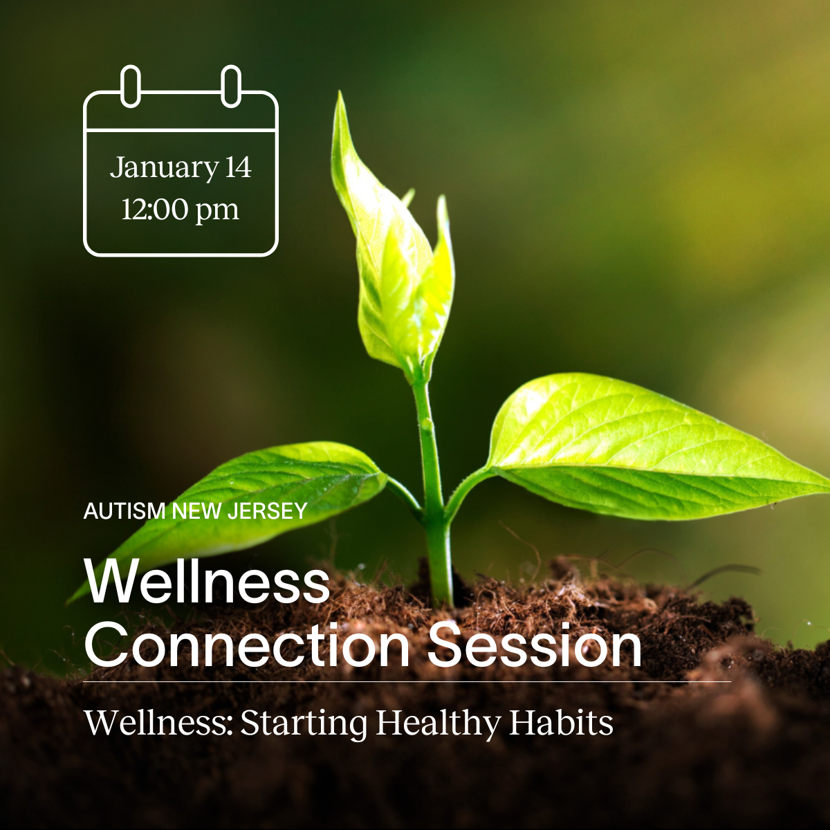 Wellness Connection Session January