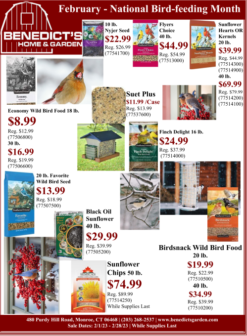 FEBRUARY IS NATIONAL BIRD-FEEDING MONTH!