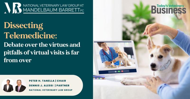 The "Mandelbaum Minute": February 2024 Issue