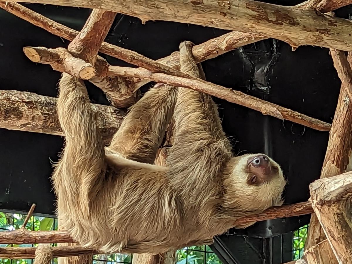 Read OLLI's Newsletter