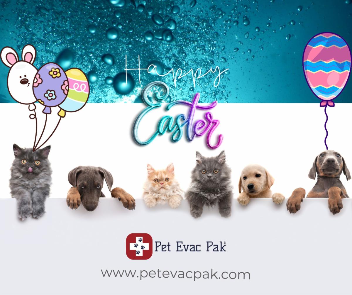 Happy Easter! Keep Your Pets Safe!