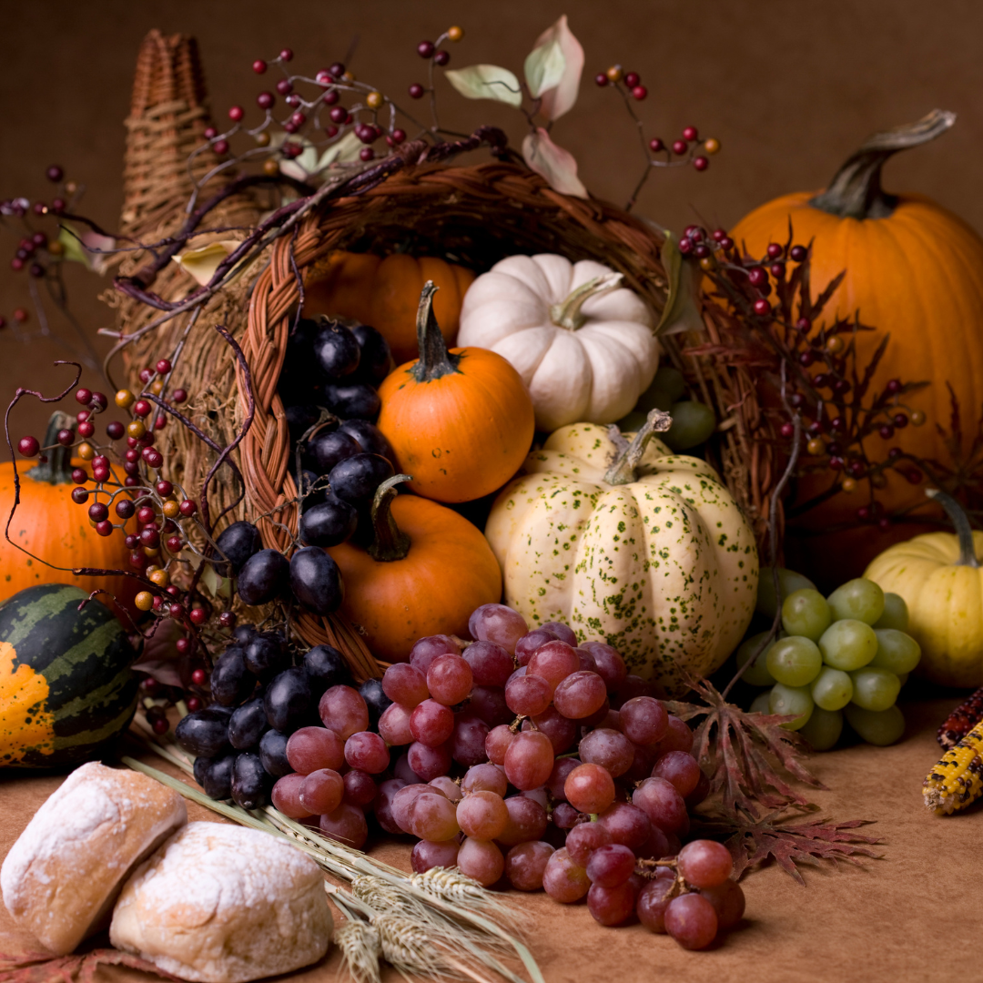 AZ Impact is Grateful for You - Let’s Reconnect!